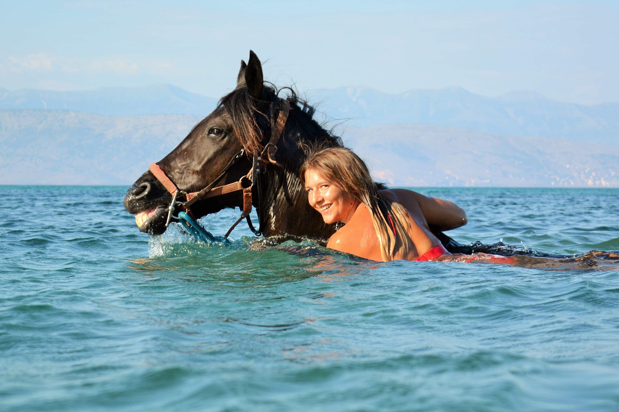 Swimming with Horses - Activities